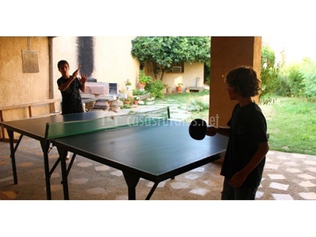 La Paloma en Manganeses De La Lampreana (Zamora)