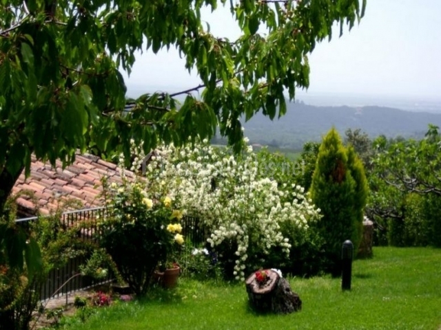Higueral de La Sayuela - Casa El Acebo en El Raso (Ávila)