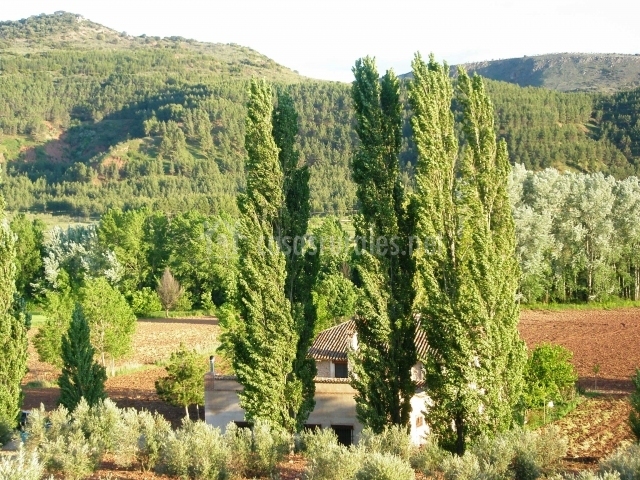El Peralón en Alcaraz (Albacete)