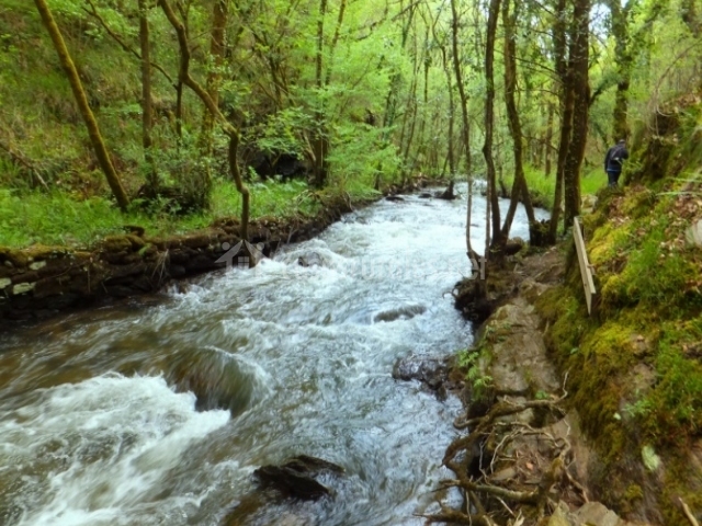 Divina Pastora en Loxo (Santa Maria) (A Coruña)