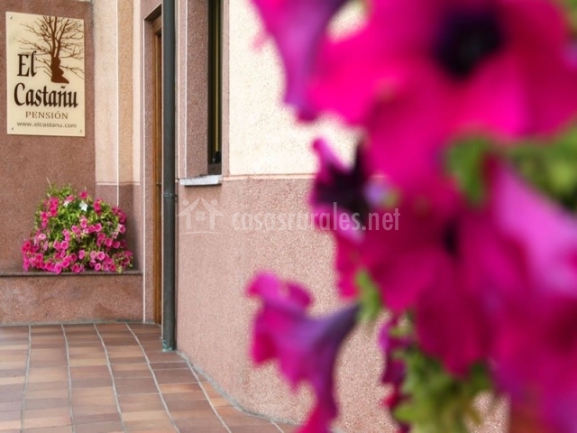 El Castañu en Cue (Asturias)